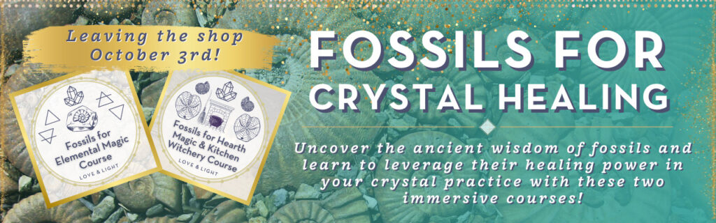 Fossils for Elemental Magic Course - Love & Light School of Crystal ...